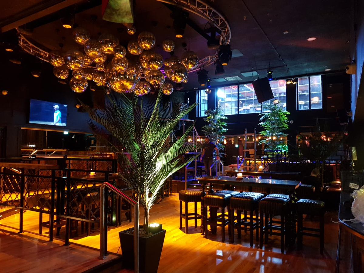 Lola Montez Intimate Bar & Night Club – Trees Company