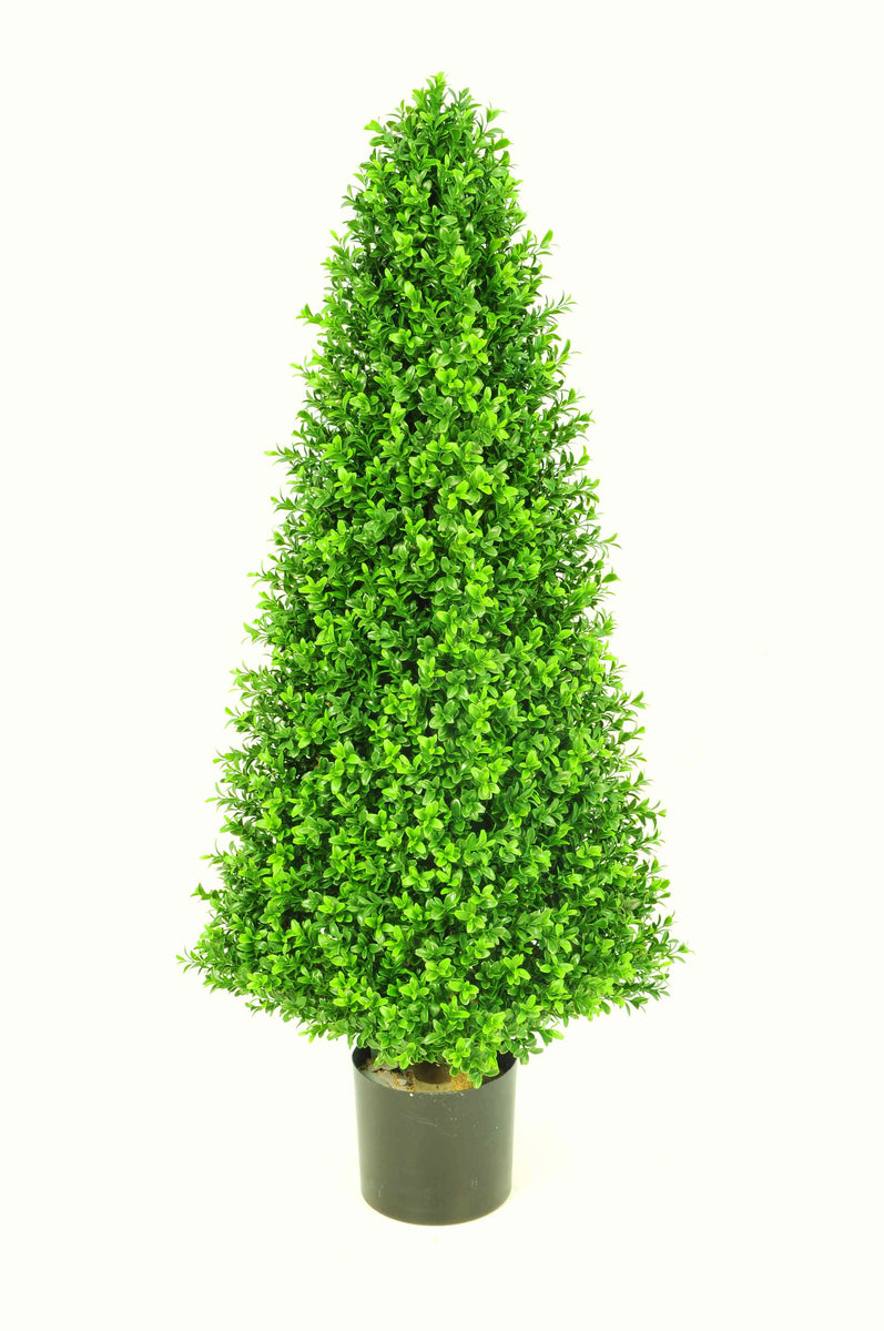 Boxwood Pyramid 100cm – Trees Company